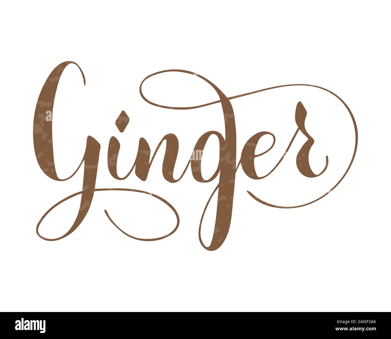 Ginger Root Drawing High Resolution Stock Photography and Images - Alamy