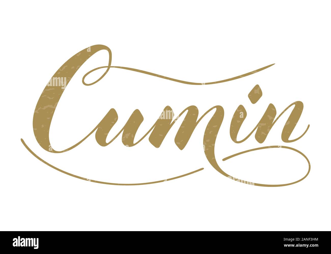 Vector hand written cumin text isolated on white background. Kitchen ...