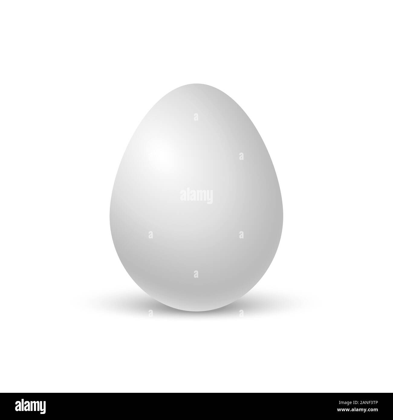 Chicken egg. Ralistic egg with soft shadow. Single realistic animal egg ...