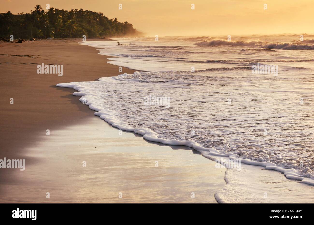 Beautiful tropical Pacific Ocean coast in Costa Rica Stock Photo - Alamy
