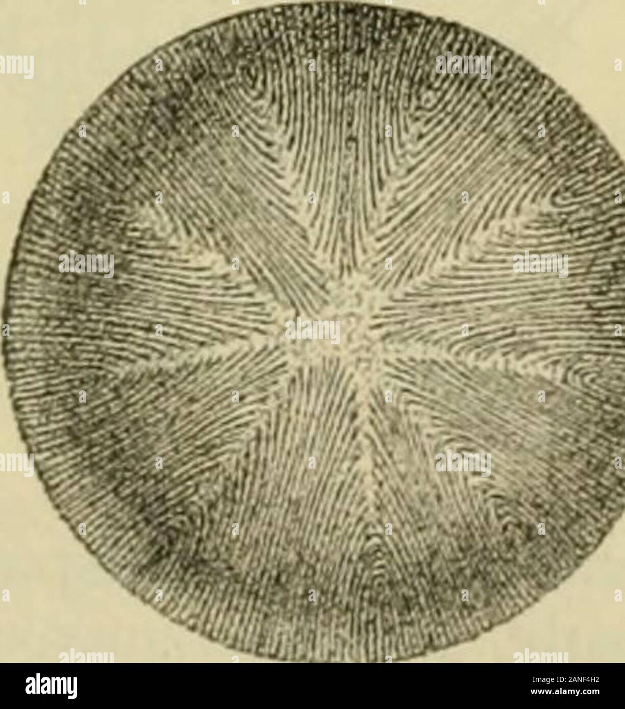 Human anatomy, including structure and development and practical ...