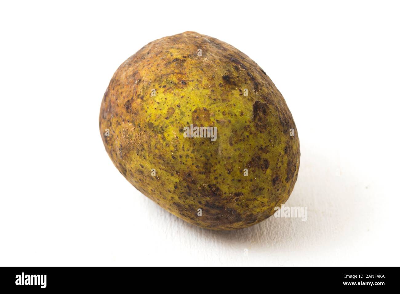 Mangifera Odorata or Kwini or Saipan mango is a mango species isolated ...