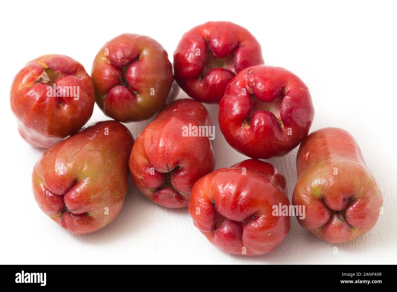 Rose apples or chomphu or Java apple or Syzygium seed isolated on white ...