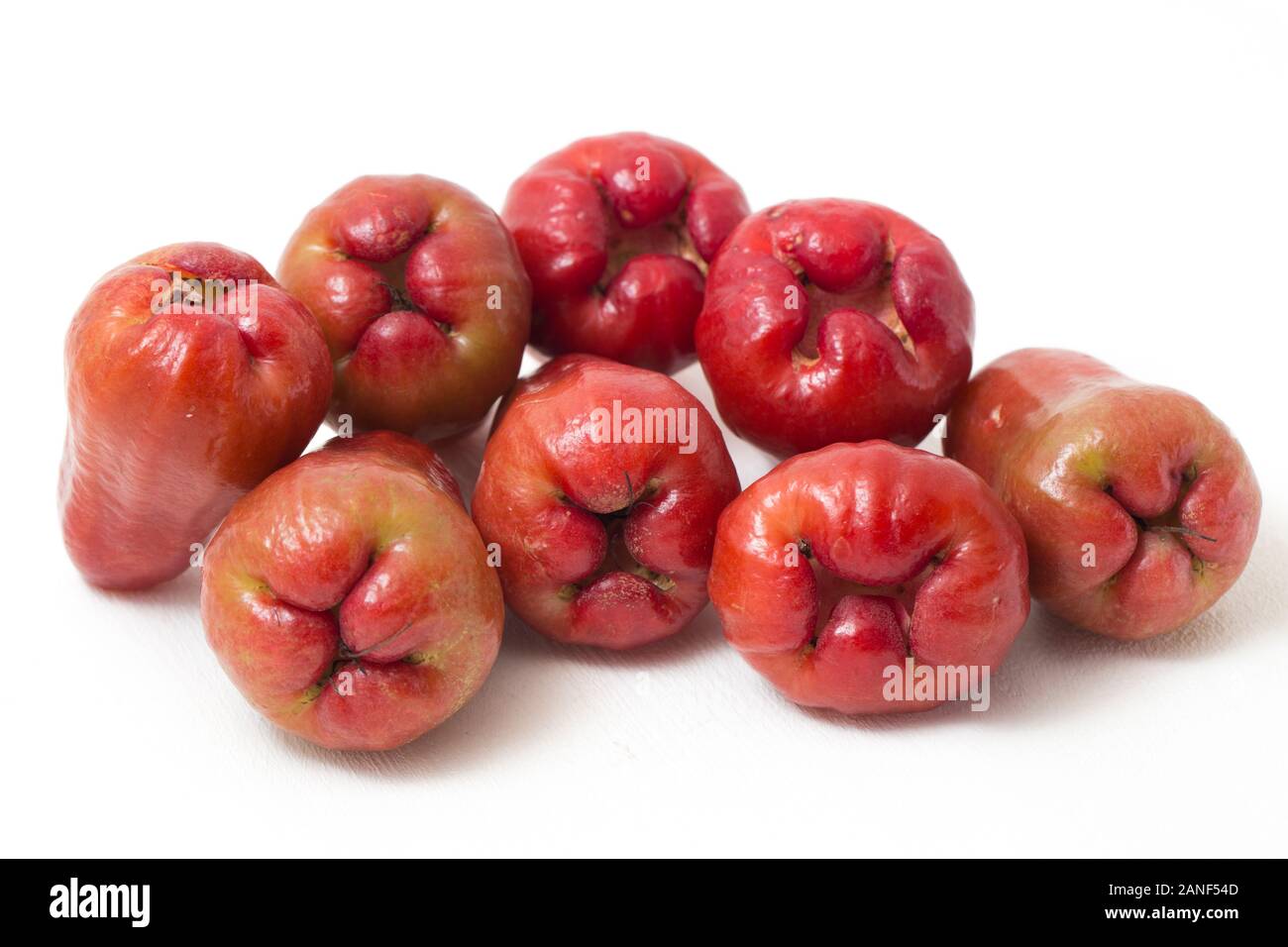 Rose apples or chomphu or Java apple or Syzygium seed isolated on white ...