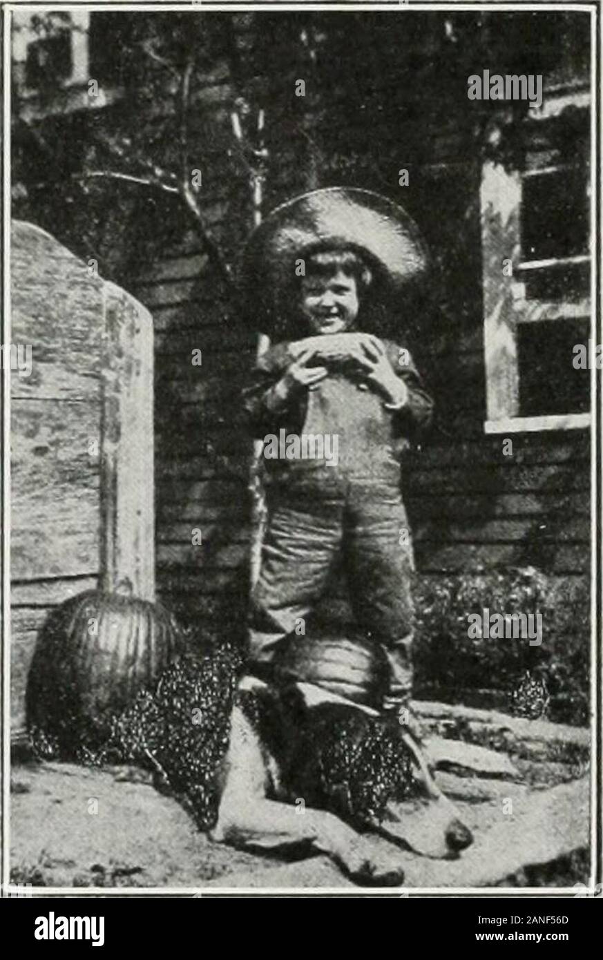 Peroral endoscopy and laryngeal surgery . centric stricture about 1 cm ...