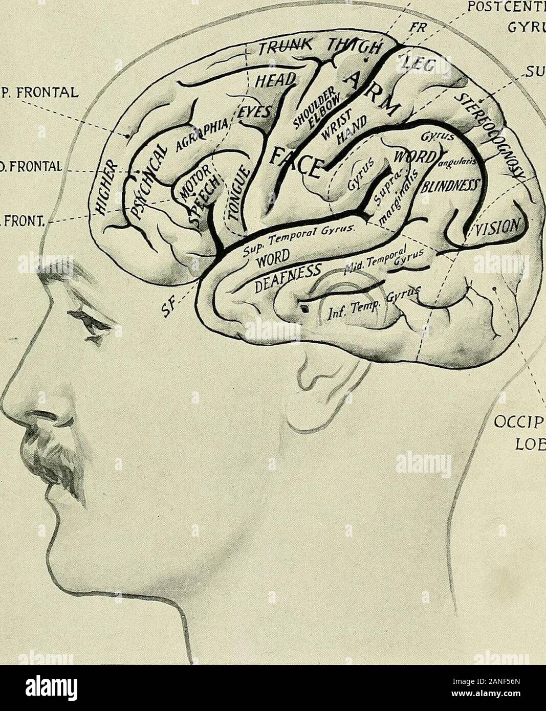 A text-book of clinical anatomy : for students and practitioners ...