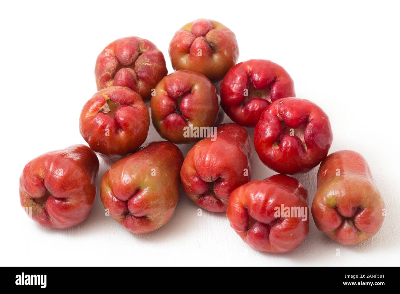 Rose apples or chomphu or Java apple or Syzygium seed isolated on white ...