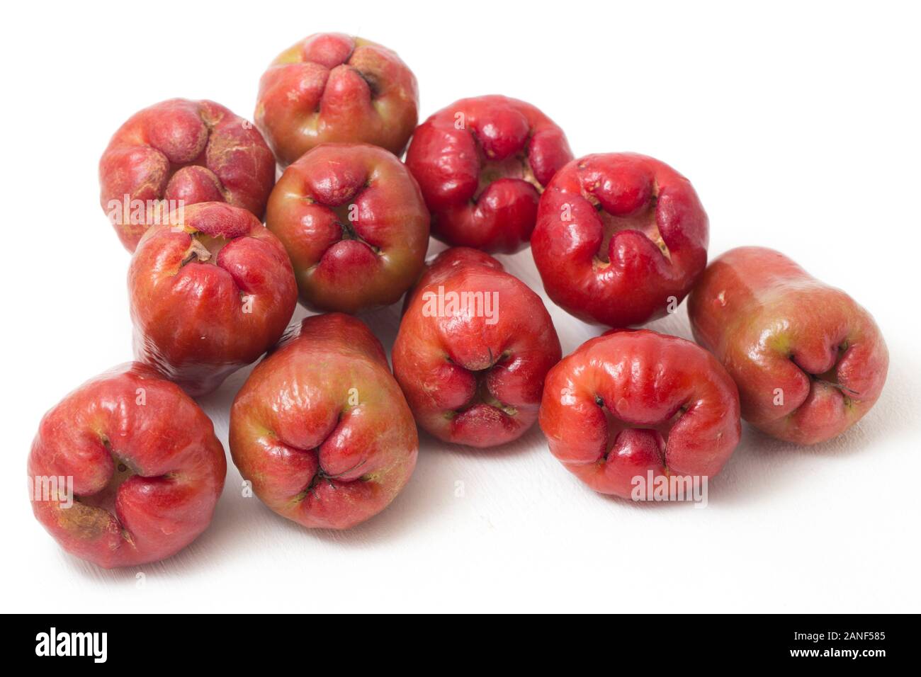 Rose apples or chomphu or Java apple or Syzygium seed isolated on white ...