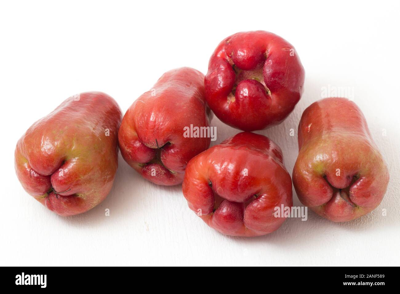 Rose apples or chomphu or Java apple or Syzygium seed isolated on white ...
