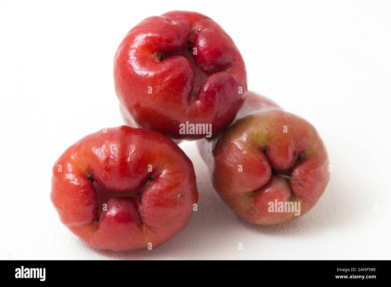 Rose apples or chomphu or Java apple or Syzygium seed isolated on white ...