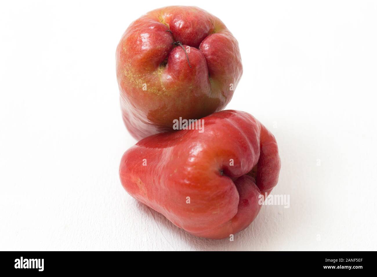 Rose apples or chomphu or Java apple or Syzygium seed isolated on white ...