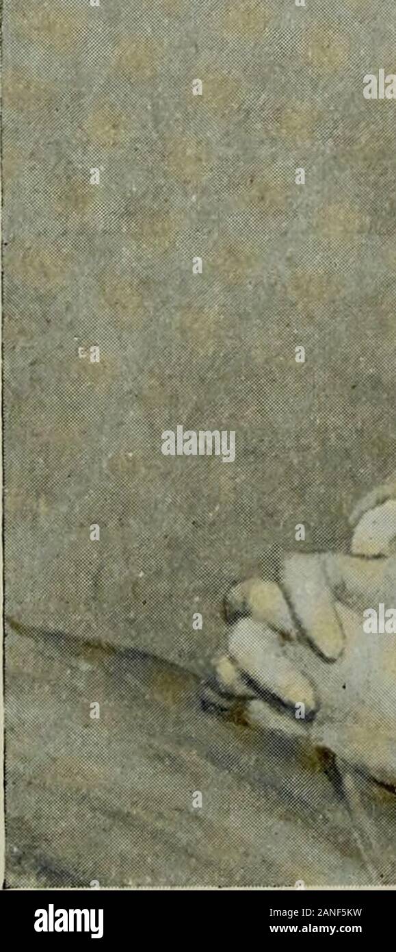 The early work of Raphael Stock Photo - Alamy