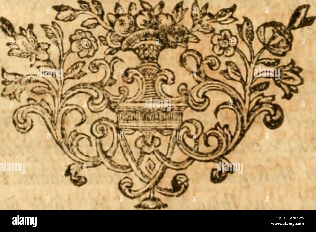 James Cuthbert High Resolution Stock Photography and Images - Alamy