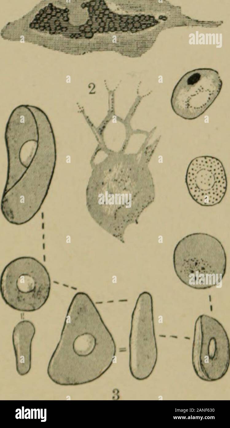 Stonecanal hi-res stock photography and images - Alamy