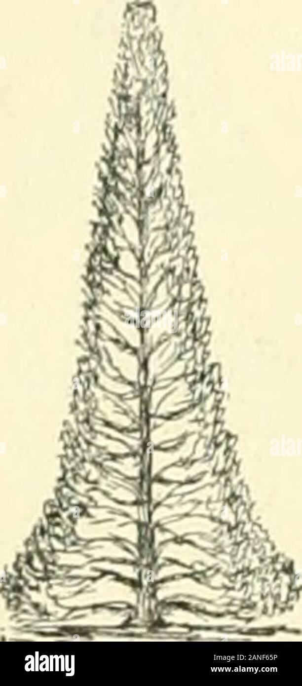 Tall concave hi-res stock photography and images - Alamy