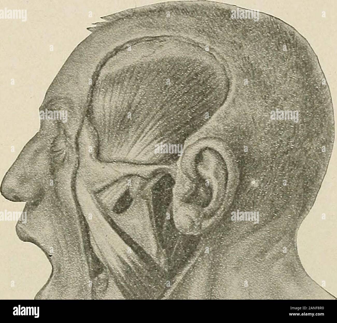 The practice of surgery . onsof manifold types of jaw dislocations. As ...