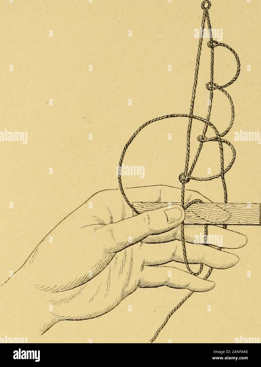 The fisheries of the Adriatic and the fish thereof : a report of the ...