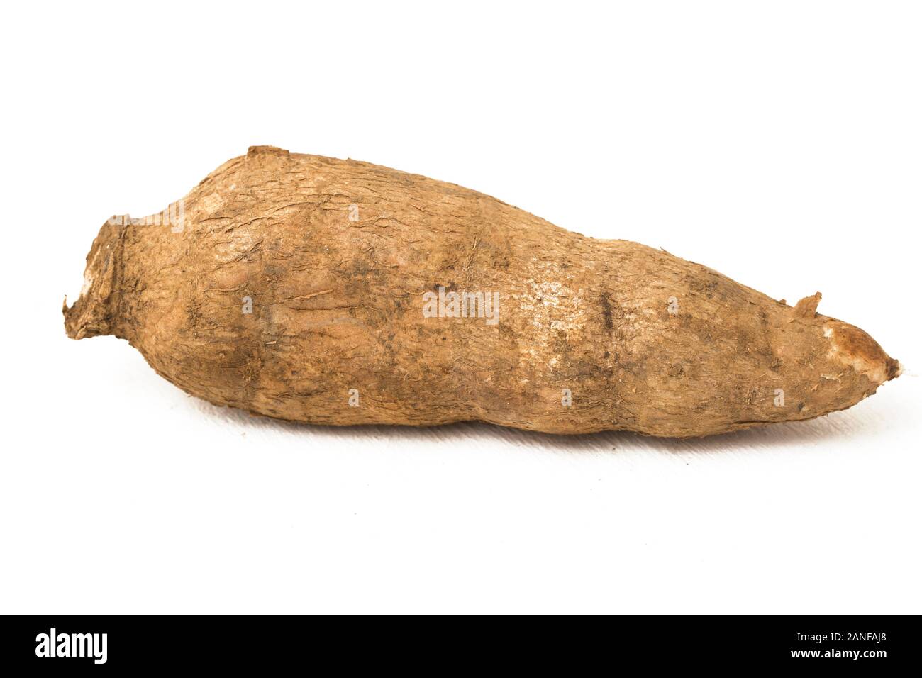Fresh Cassava root isolated on a white background Stock Photo - Alamy