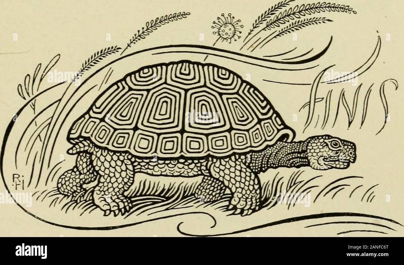 The fables of Æsop, selected, told anew and their history traced ...