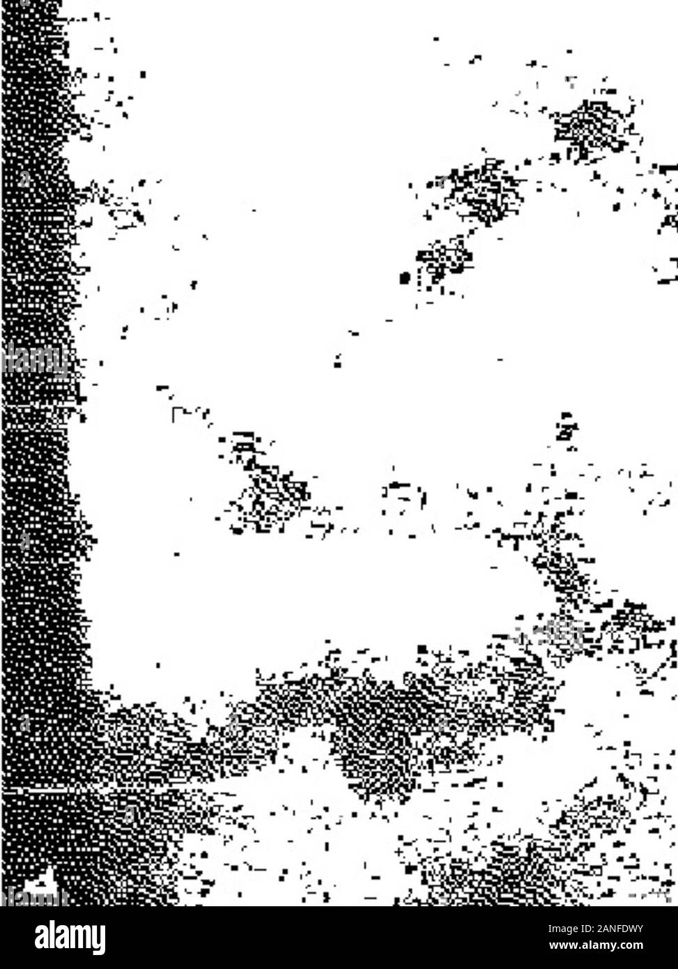 The War Cry Stock Photo - Alamy