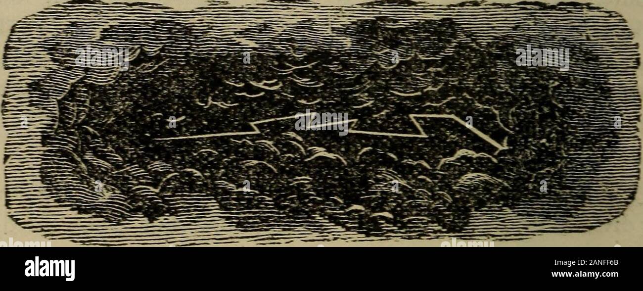 Tyranny of beasts hi-res stock photography and images - Alamy