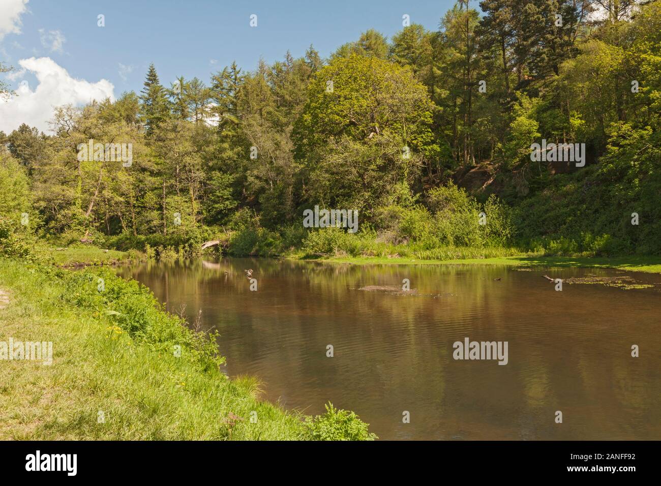 Penllergaer valley woods hi-res stock photography and images - Alamy