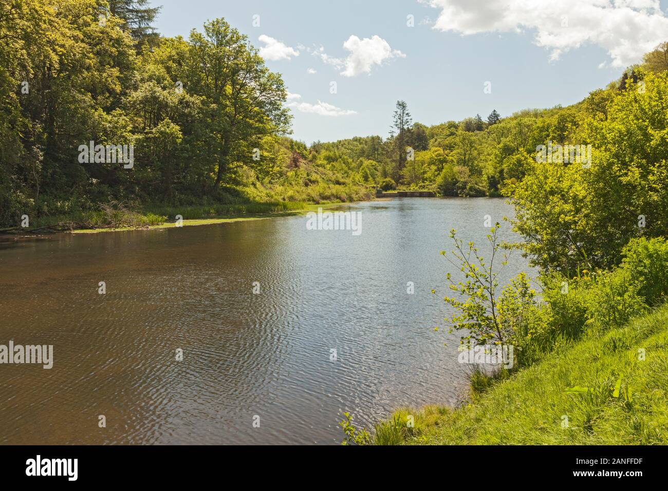 Penllergaer valley woods hi-res stock photography and images - Alamy
