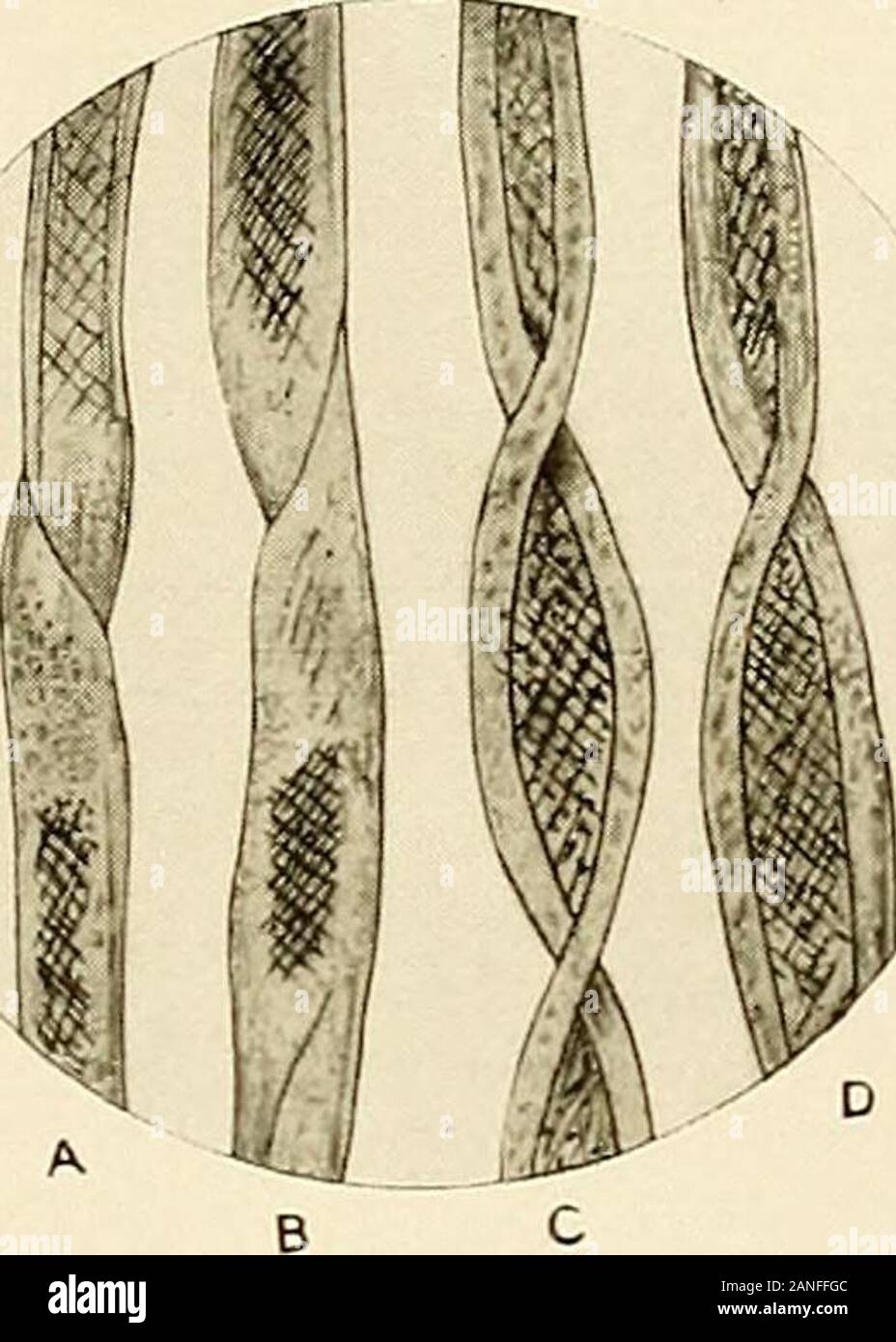 The story of textiles; a bird's-eye view of the history of the ...