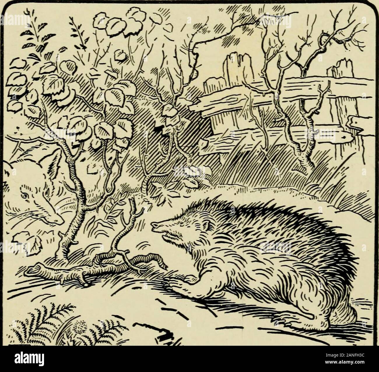 Hedgehog And Fox Fable