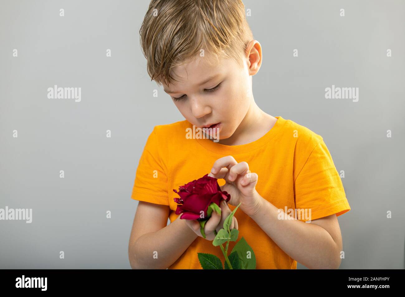 Son giving flower hi-res stock photography and images - Alamy