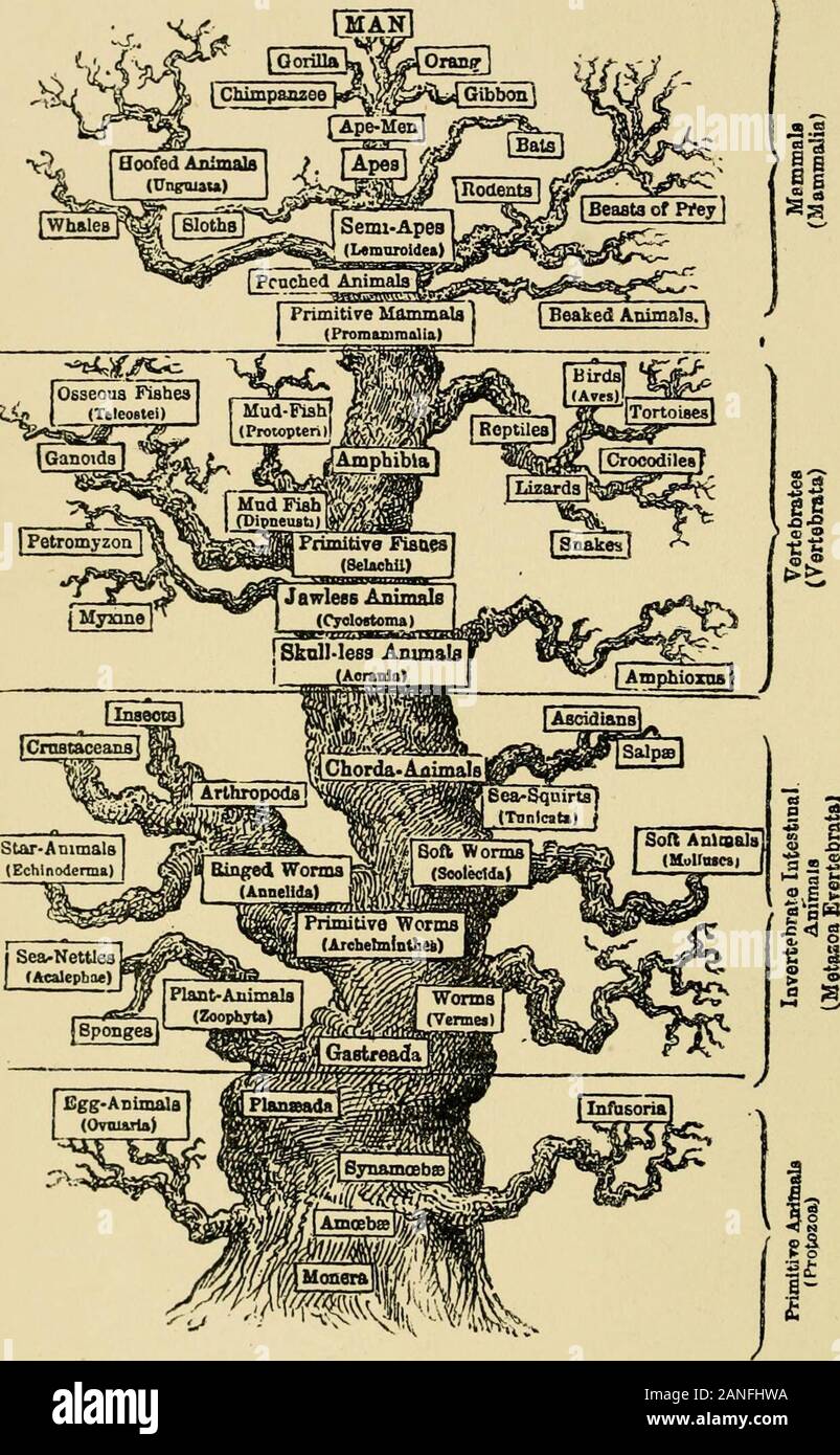 Booksubjectreligionandscience hi-res stock photography and images - Alamy