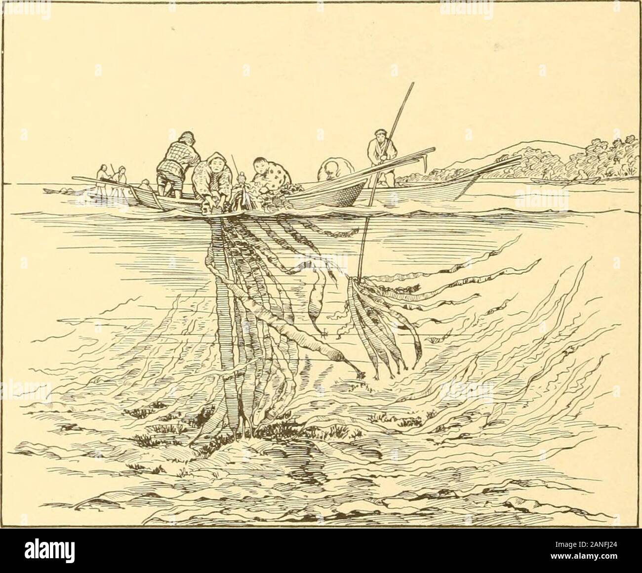 Chopper core hi-res stock photography and images - Alamy