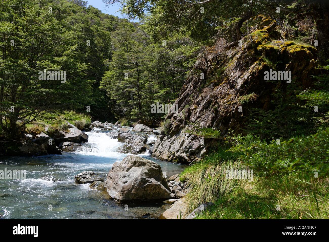 Clean river water hi-res stock photography and images - Alamy