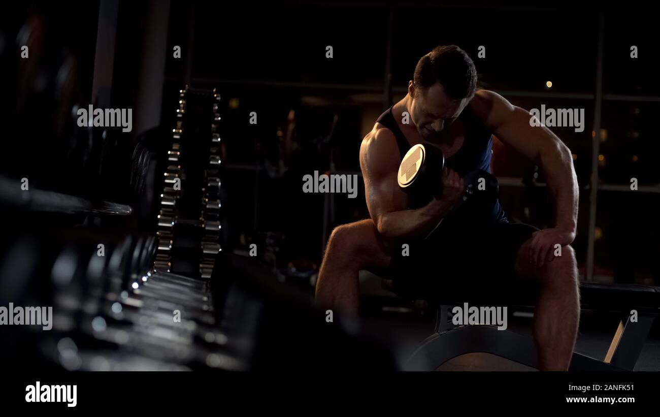 Motivated bodybuilder doing seated isolated dumbbell curl, evening ...