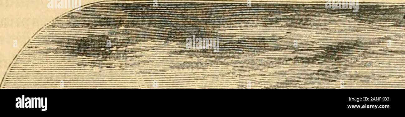 Keokuk ship hi-res stock photography and images - Alamy
