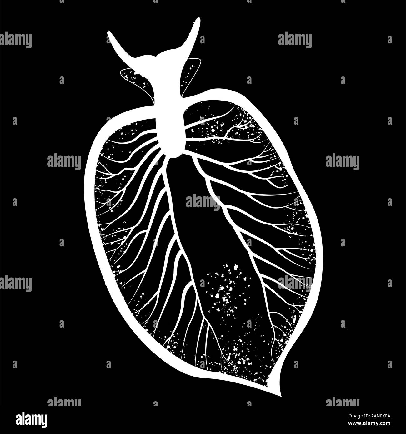 Ocean mollusc Stock Vector Images - Alamy