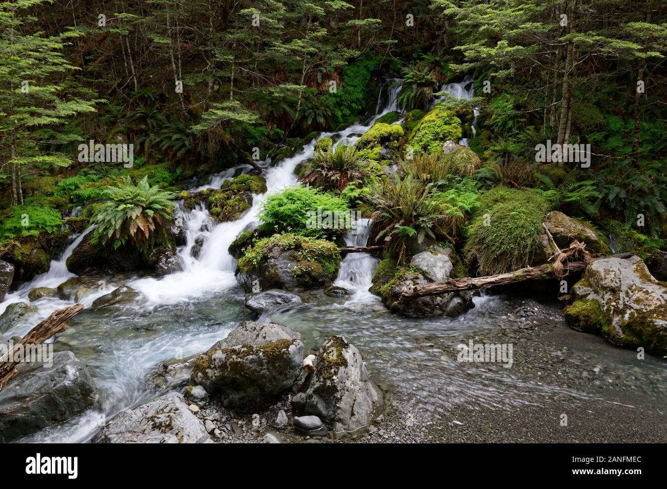 Water cascades over mossy, green rocks, splitting into different ...