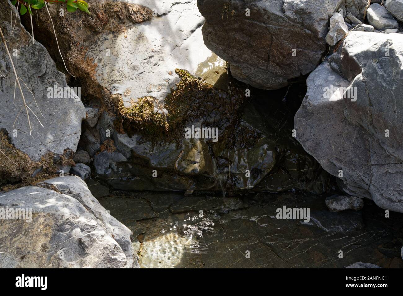 Drip water drips hi-res stock photography and images - Alamy