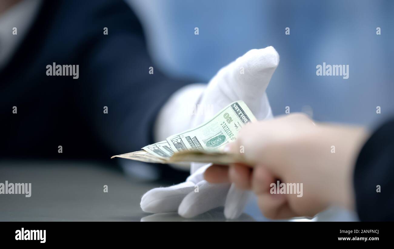 Customer paying dollar banknotes to receptionist, check-in at hotel ...