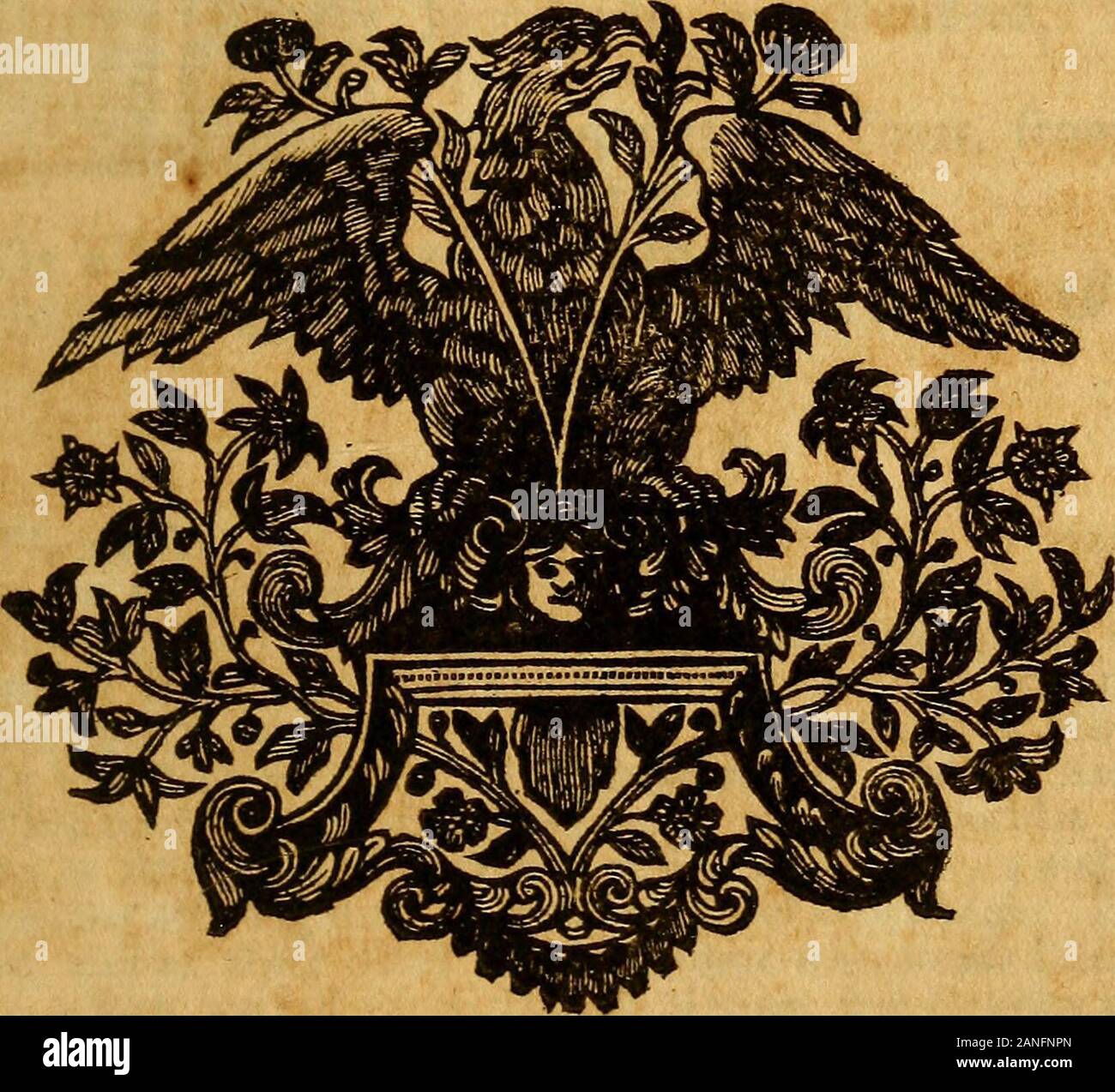 Square Things In Nature