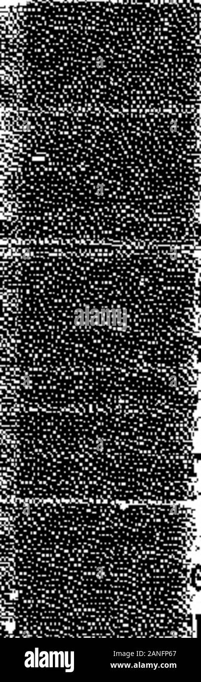 The War Cry Stock Photo - Alamy