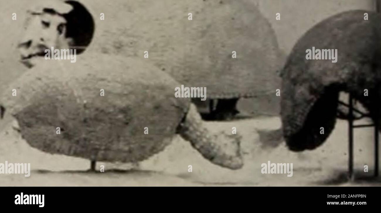 General guide to the exhibition halls of the American Museum of Natural ...