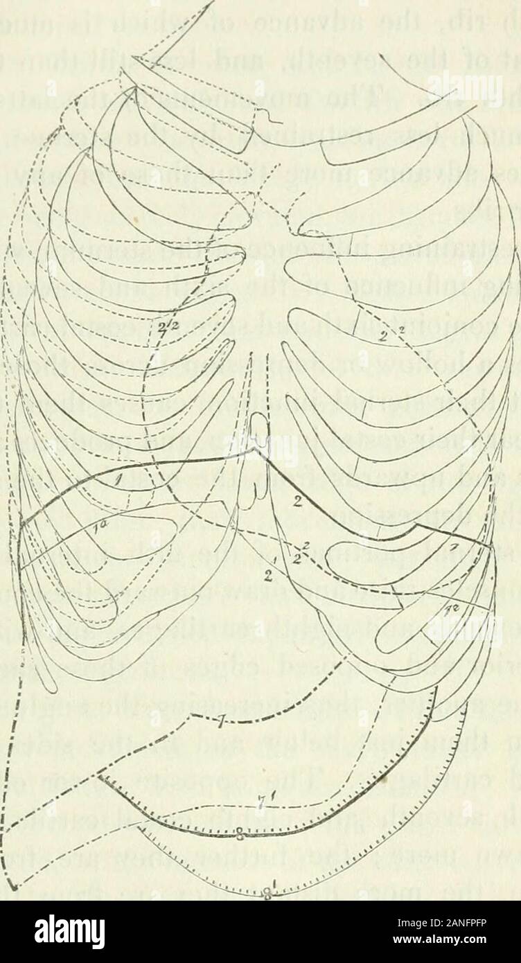 Transactions . ased at every point upwards and forwards, andthe ...