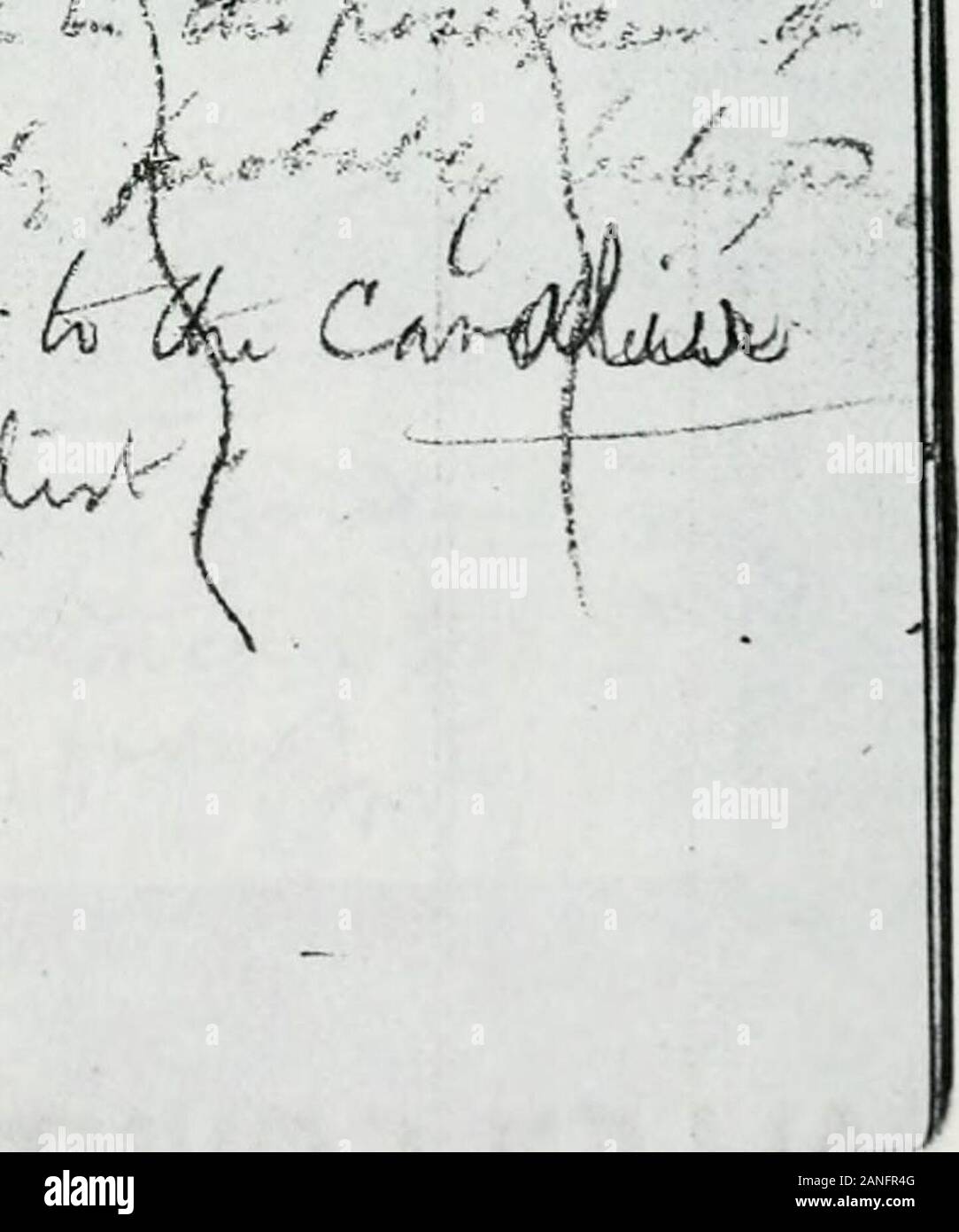 Steele family . ? i V :i--ii 4»/- «»>C/t--t.-^-d*..