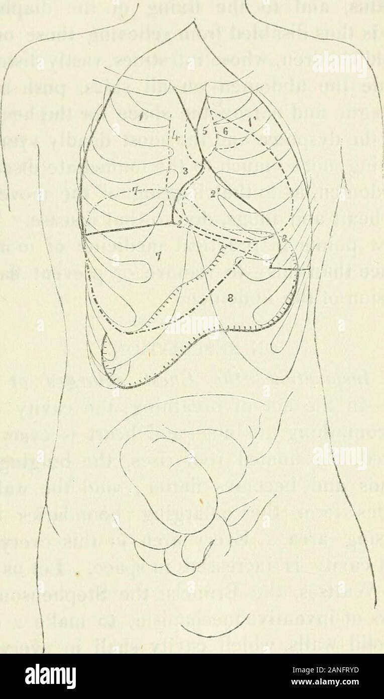 Transactions . tained several gallonsof fluid, the lower margin of the ...