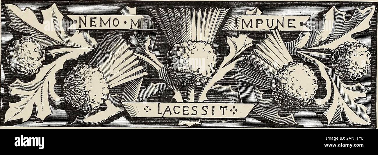 Nemo me impune lacessit hi-res stock photography and images - Alamy