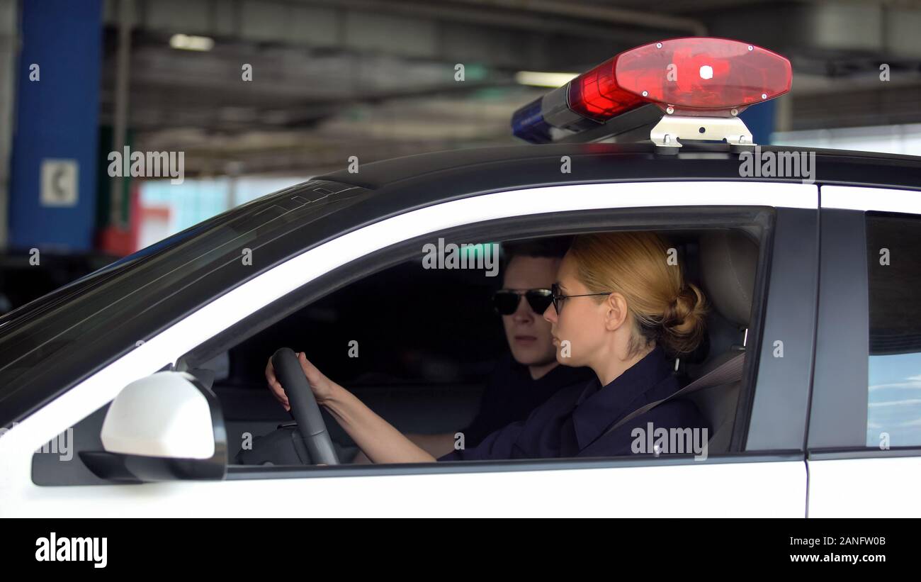 Male and female cop driving police car to crime scene, patrolling law ...