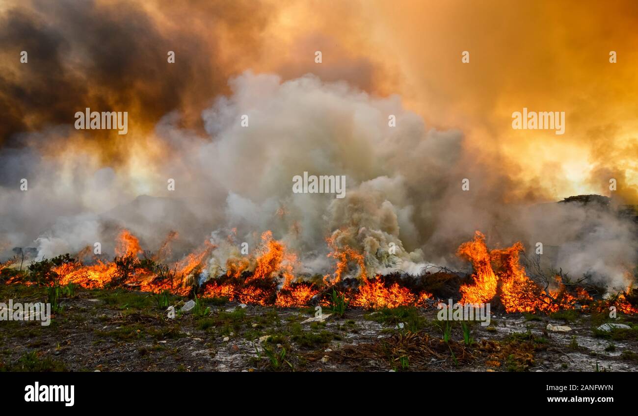 A wildfire rips through dry fynbos on the Cape Peninsula in South ...