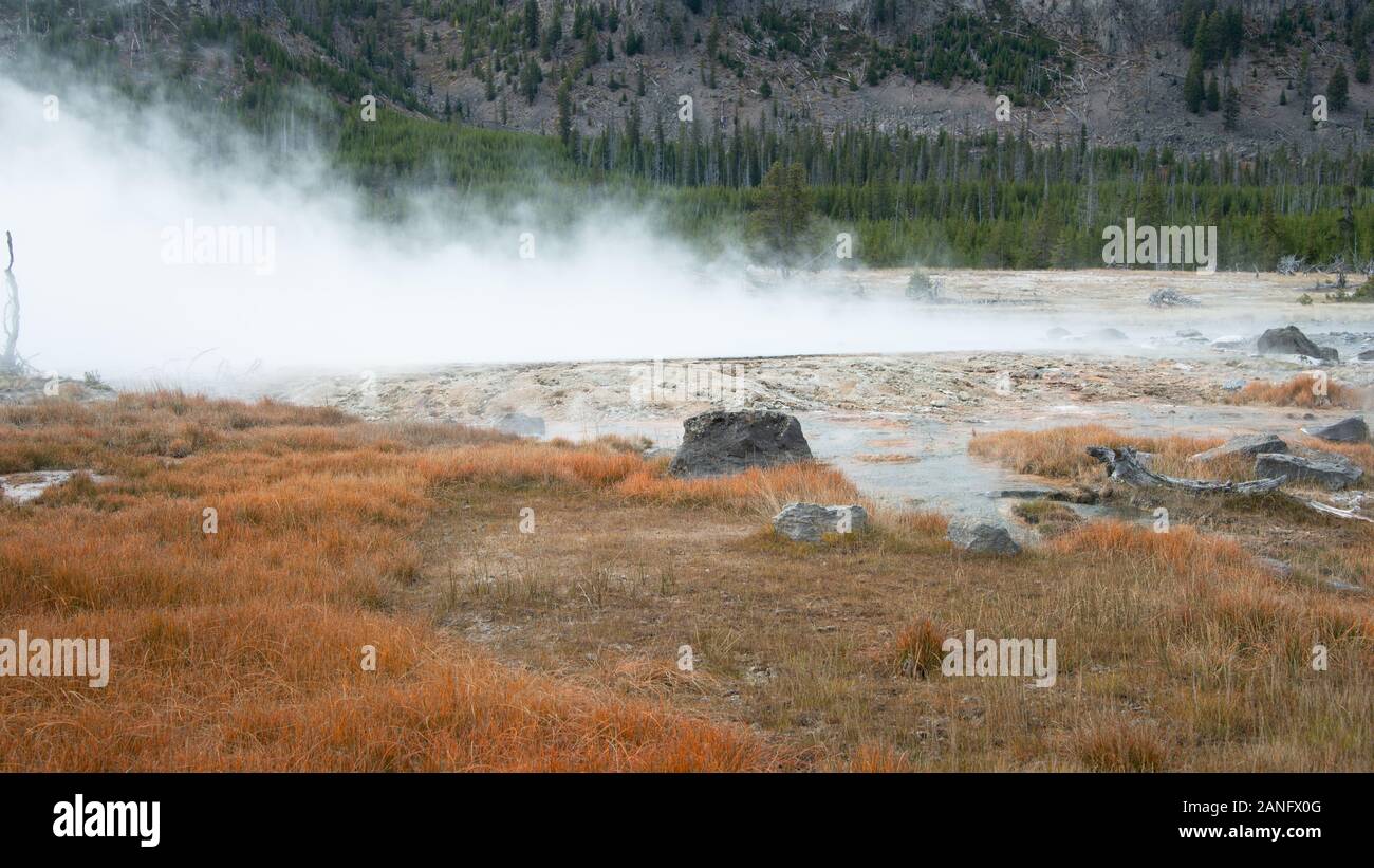 Geyser basin with hot thermal springs and steam vents at Yellowstone ...