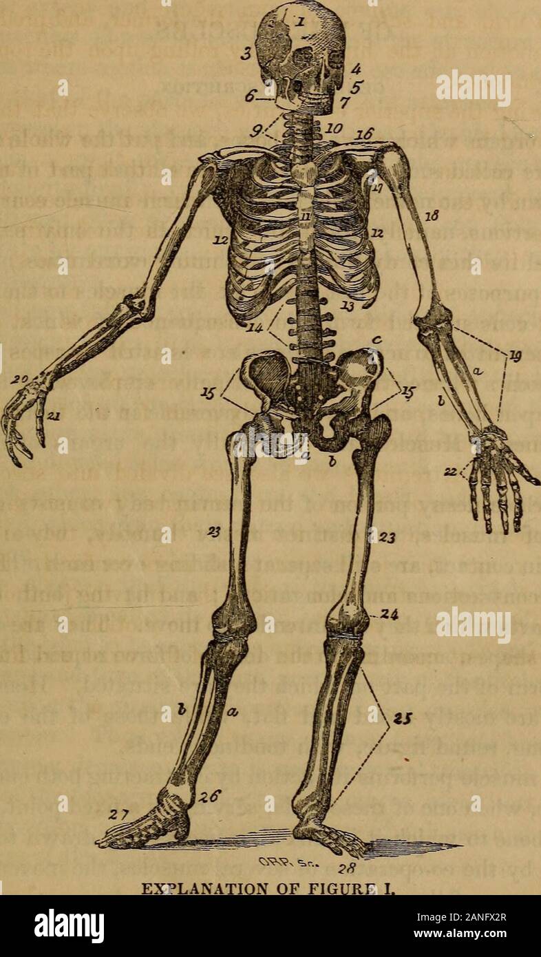 Our home physician: a new and popular guide to the art of preserving ...